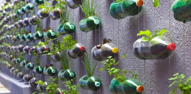 Como hacer un huerto vertical con botellas - La Huerta de Ivan