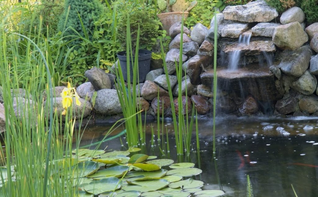 Los Beneficios de tener un Estanque