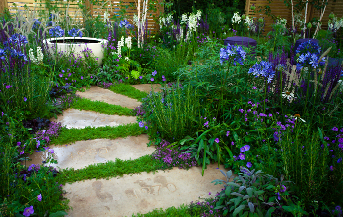 3 Plantas con flores que toleran la sombra